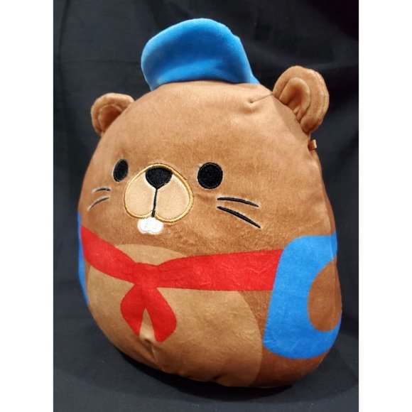 Squishmallows | Toys | Squishmallow Plush Stuffed Animal Chip The ...